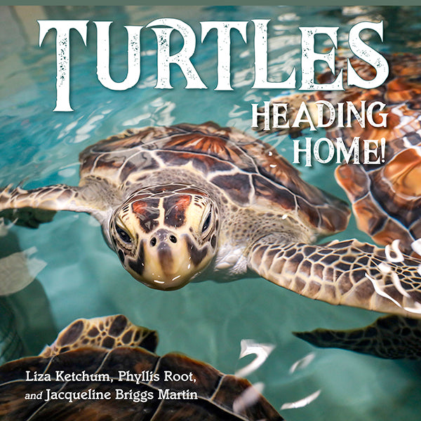 Turtles Heading Home! – Charlesbridge