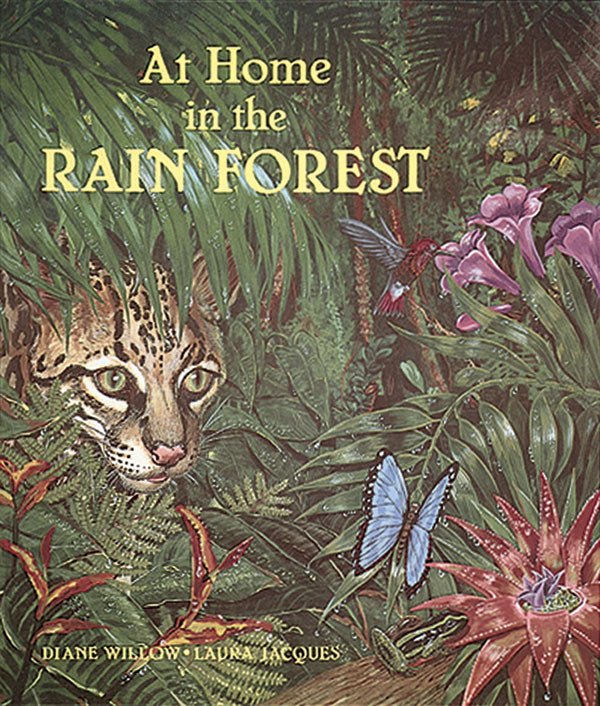 At Home in the Rain Forest – Charlesbridge