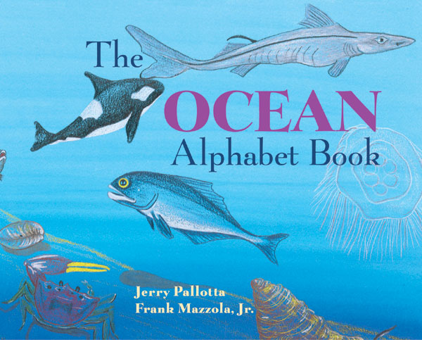 The Ocean Alphabet Board Book – Charlesbridge