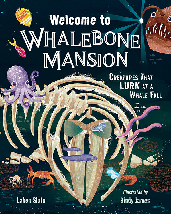 Welcome to Whalebone Mansion – Charlesbridge