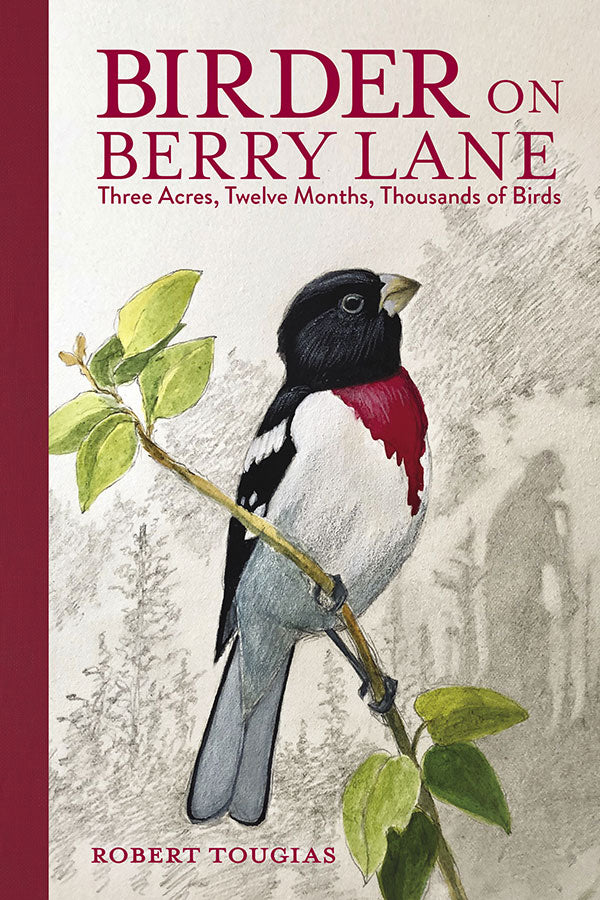 Birder on Berry Lane – Charlesbridge