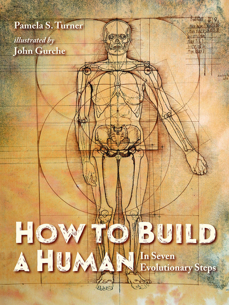 How to Build a Human – Charlesbridge