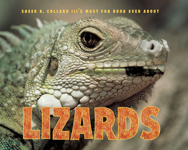 Sneed B. Collard III’s Most Fun Book Ever About Lizards – Charlesbridge