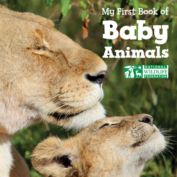My First Book of Baby Animals – Charlesbridge