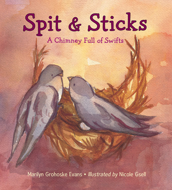 Spit & Sticks: A Chimney Full of Swifts – Charlesbridge